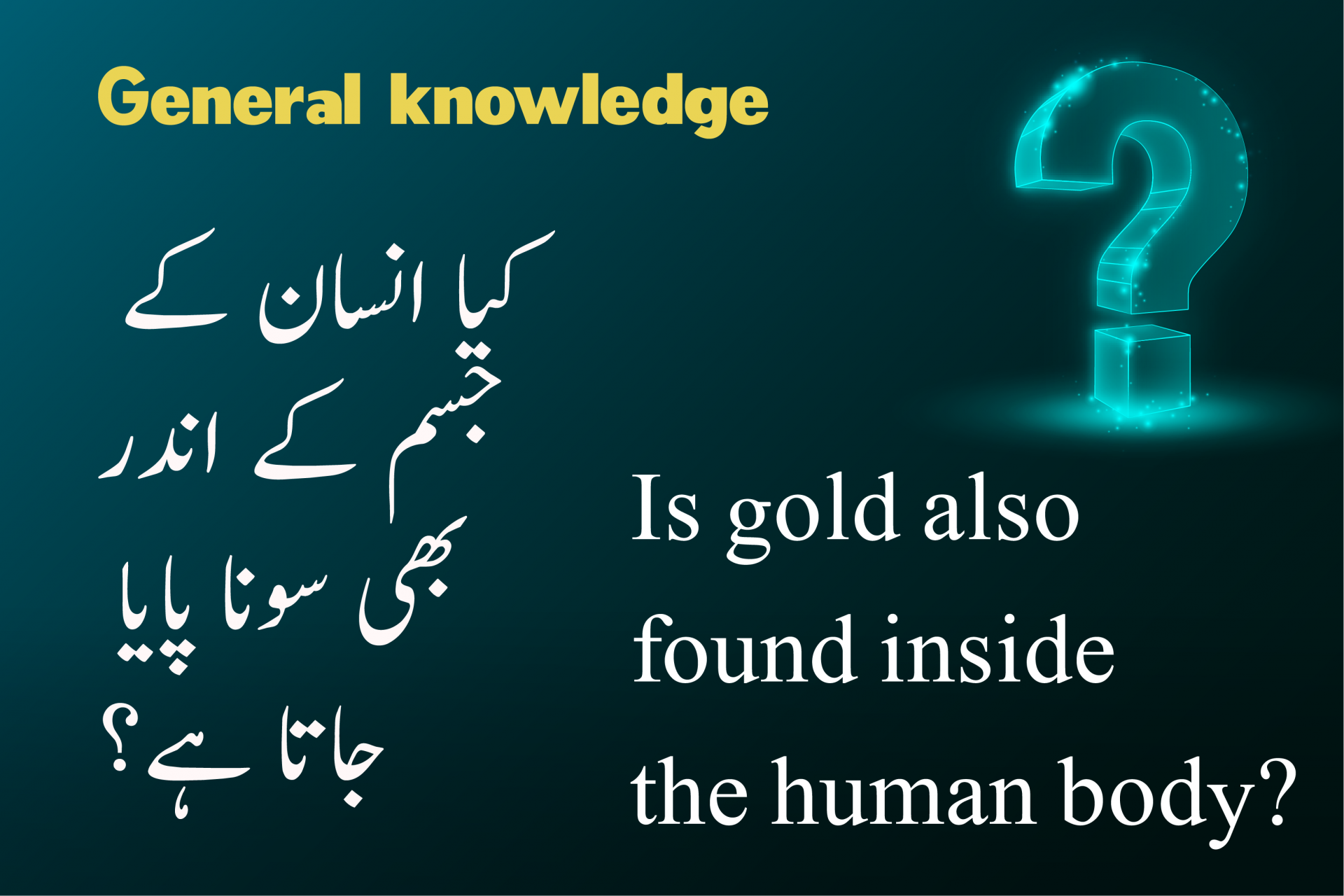 General Knowledge Questions in Urdu with answers - Seekhlein