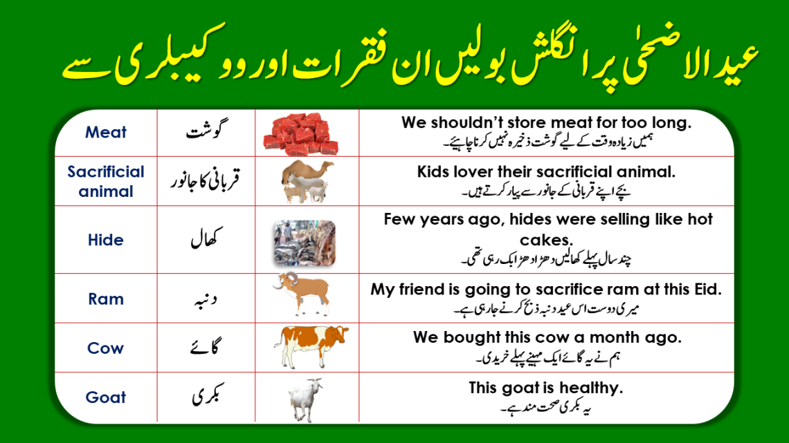 Eid Ul Adha Vocabulary Words With Different Sentences - Seekhlein
