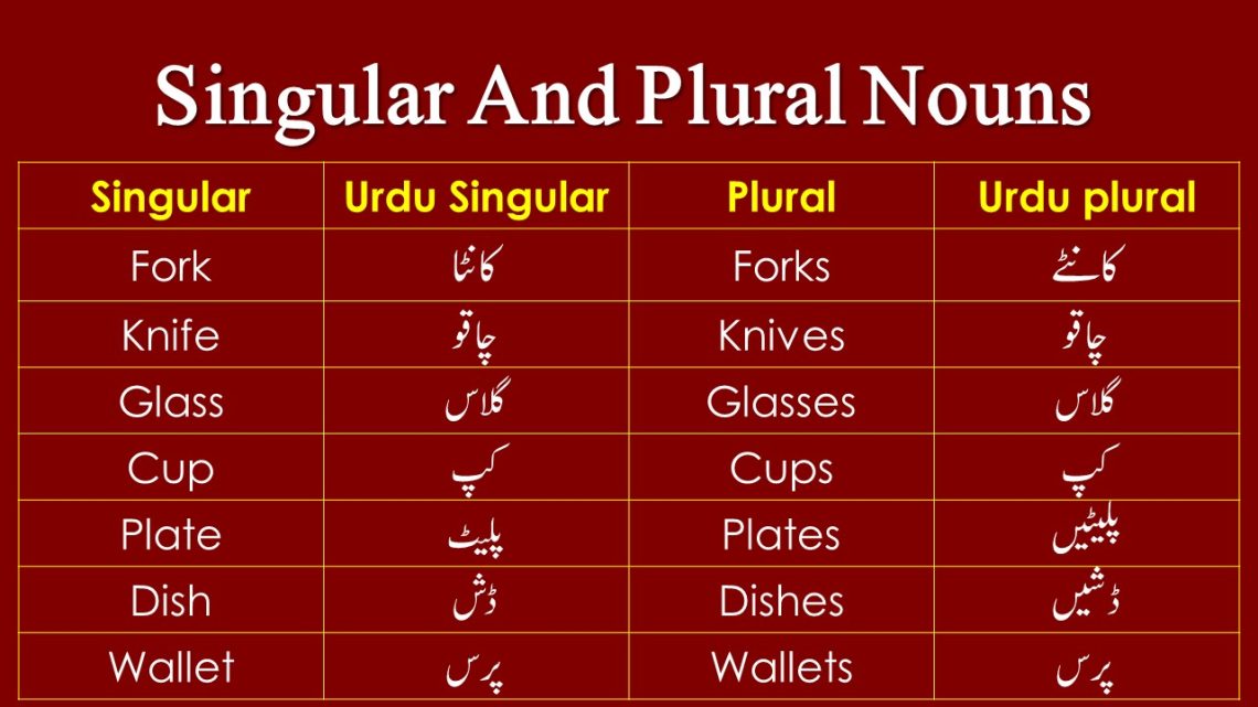 100+ Singular And Plural Nouns With Meaning And PDF - Seekhlein