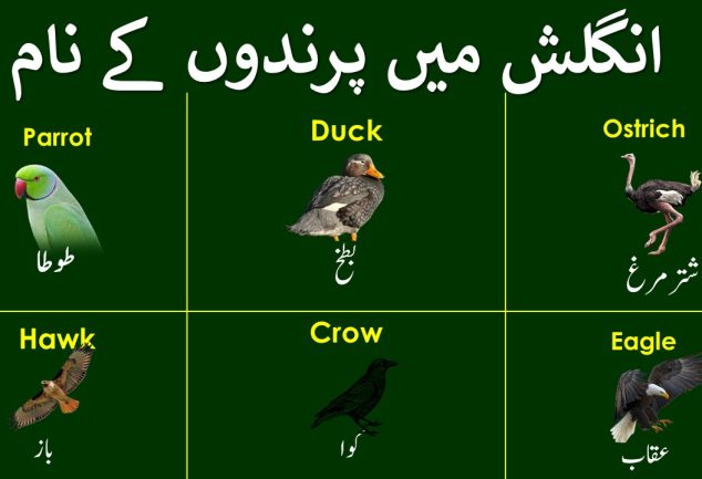 99 Allah Names In Urdu And English With Translation - Seekhlein